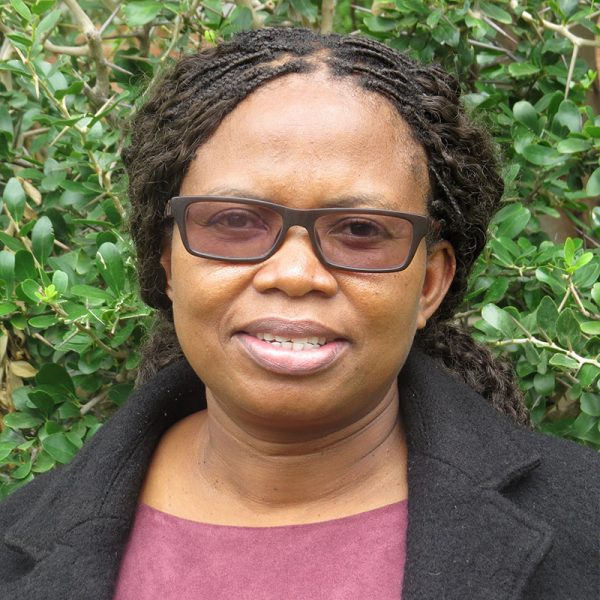 Senior College – Petra College