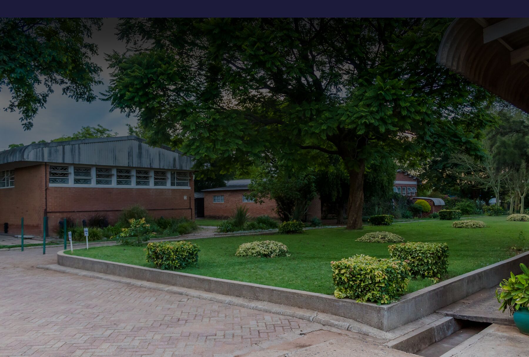 Petra College – Forming character, releasing potential